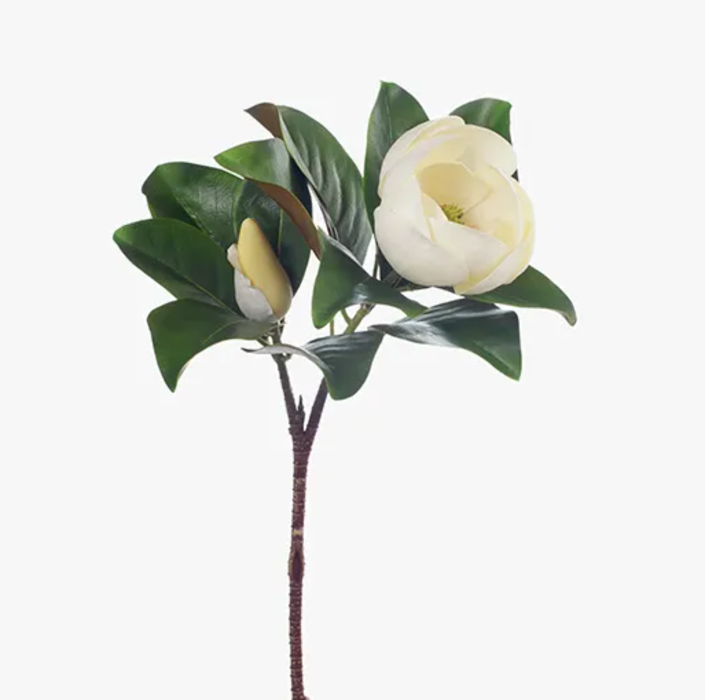 Magnolia Spray 80cm | Country Accent