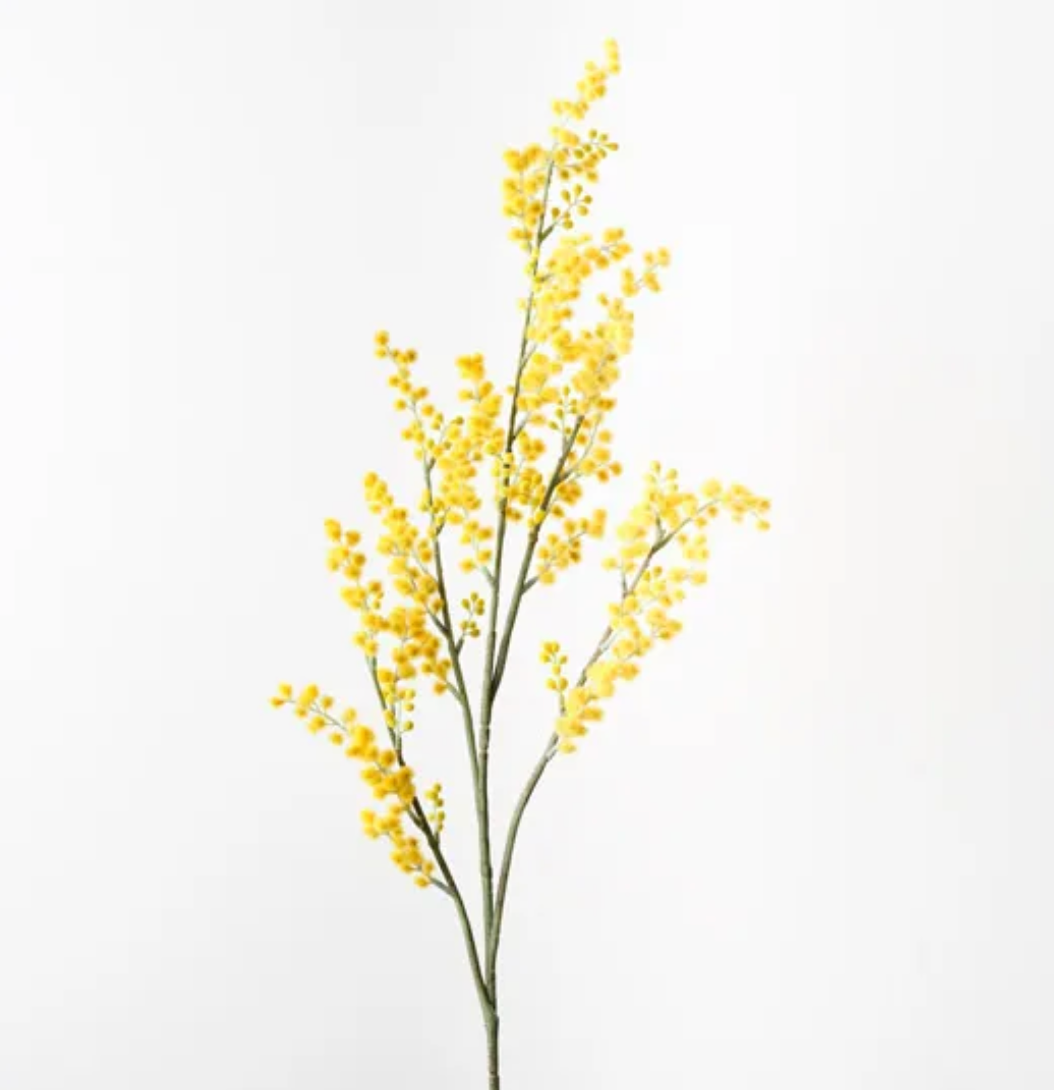 Wattle Wattle Spray Yellow 98cm | Country Accent