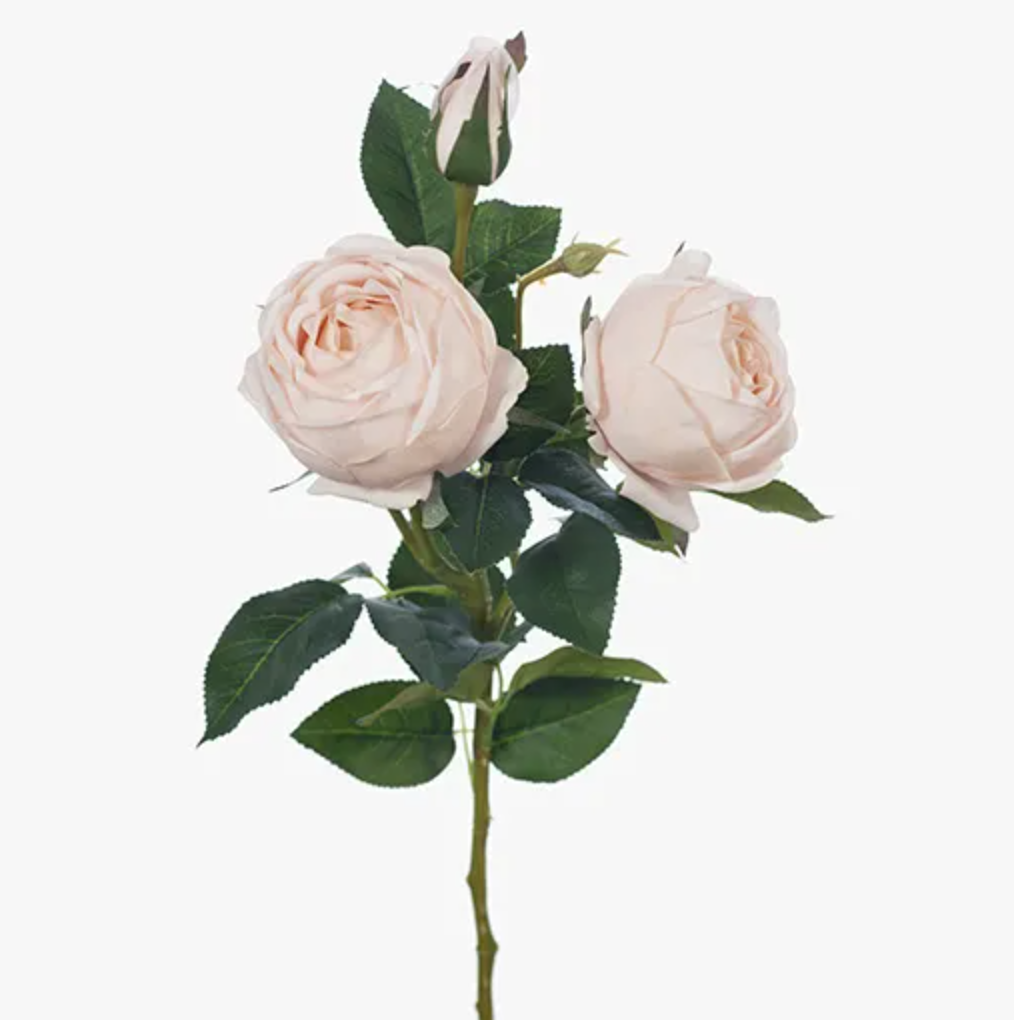 Adele Rose Spray Ivory 73cm | Country Accent